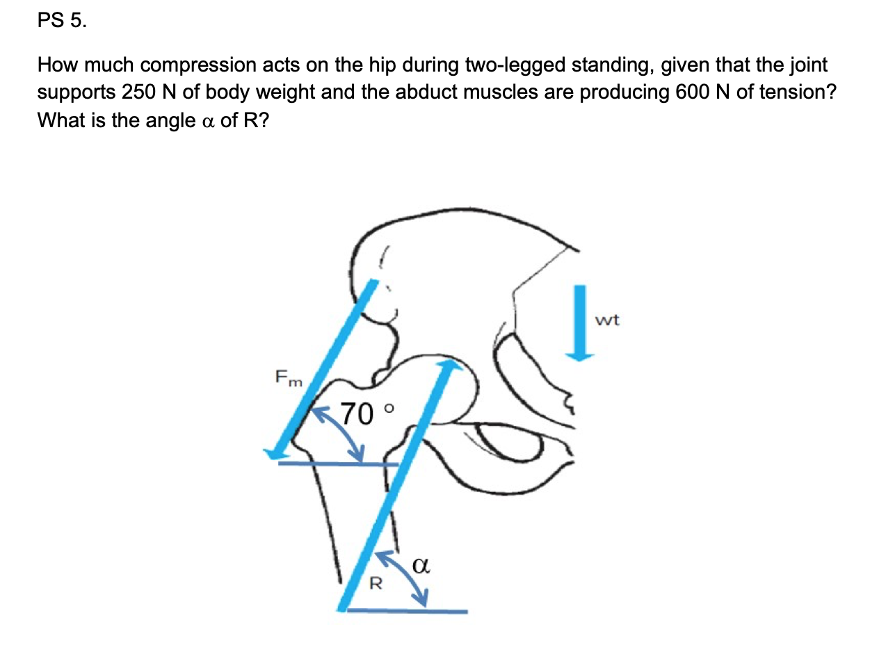 Solved PS 5. How much compression acts on the hip during | Chegg.com