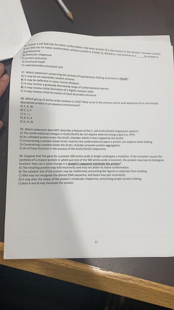 Solved Protein S will fold into its native conformation only | Chegg.com