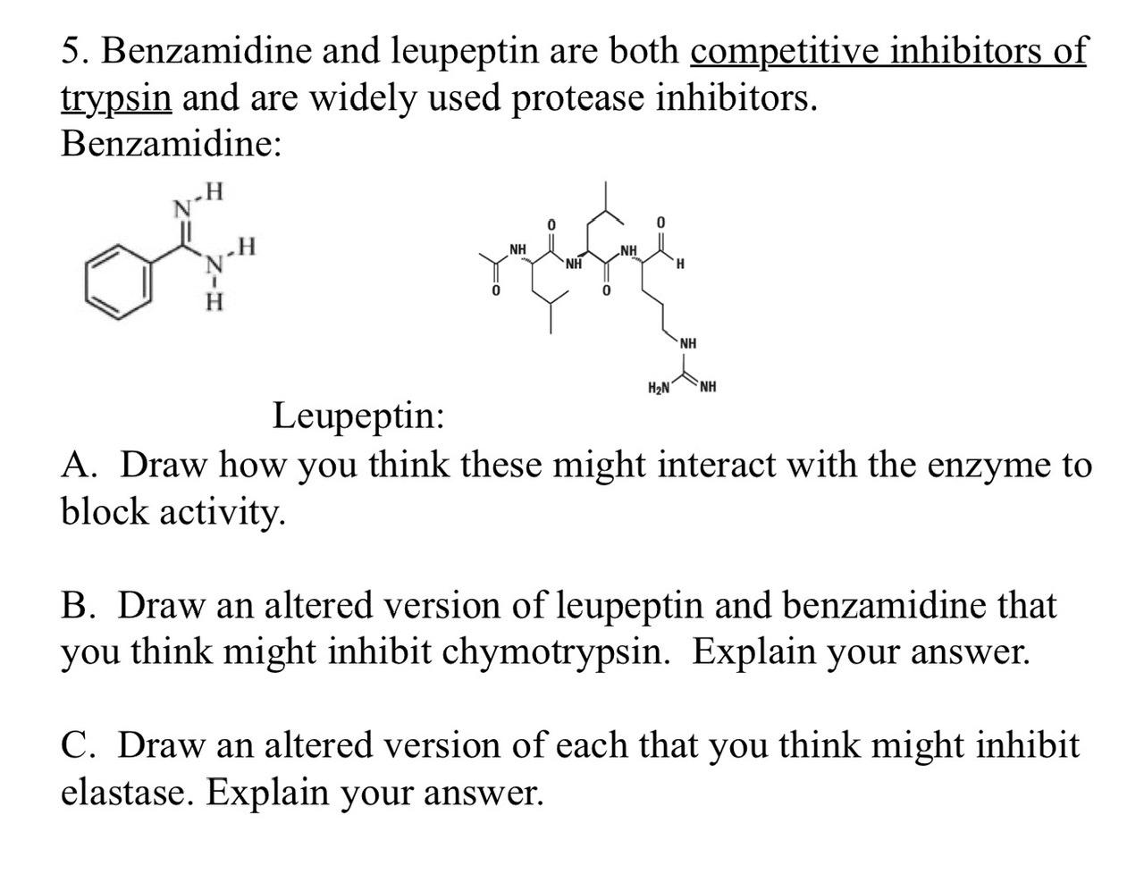 Solved 5. Benzamidine and leupeptin are both competitive | Chegg.com