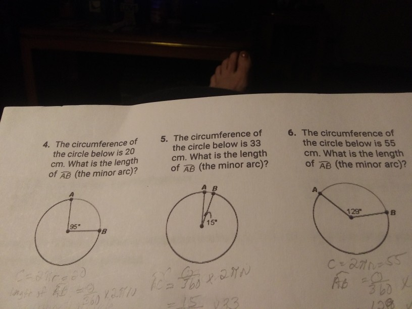 Solved 4. The circumference of the circle below is 20 cm. | Chegg.com
