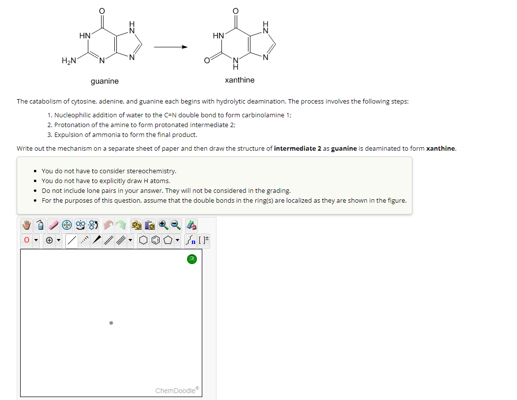 guanine xanthine The catabolism of cytosine, adenine, | Chegg.com