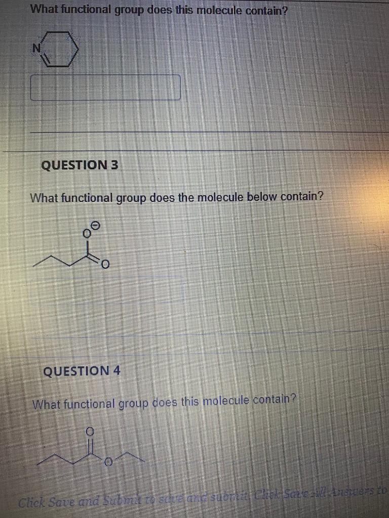 Solved What functional group does this molecule contain? N | Chegg.com