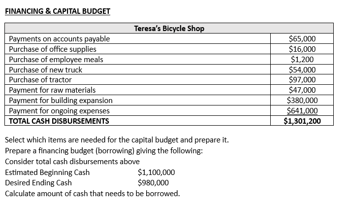 Solved FINANCING \& CAPITAL BUDGET Select which items are | Chegg.com