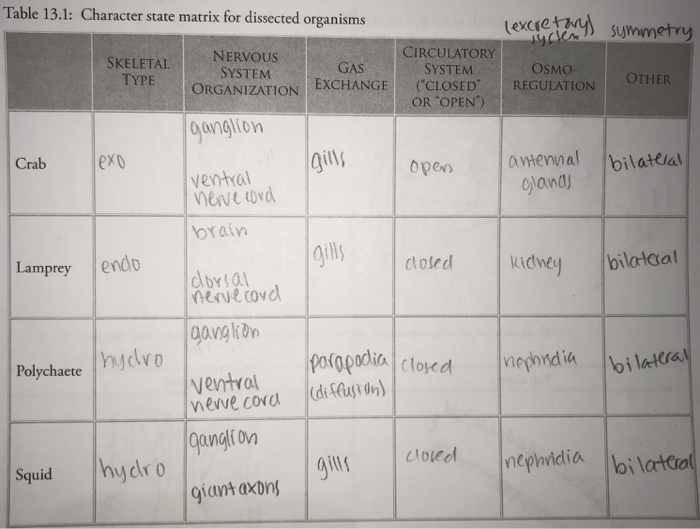 Solved Phylogeny Identify which | Chegg.com