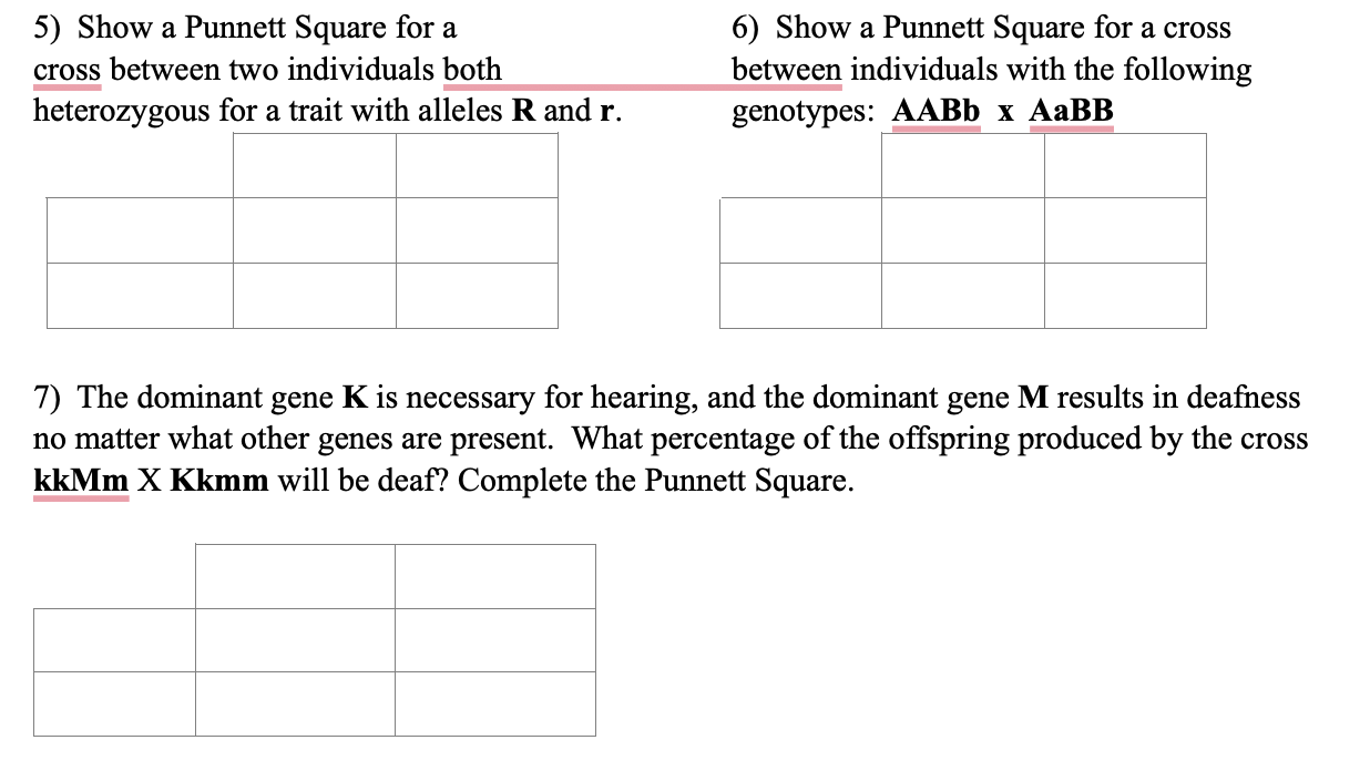 Solved 5) Show a Punnett Square for a cross between two | Chegg.com