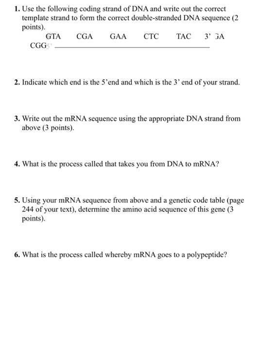 Use the following coding strand of DNA and write out | Chegg.com