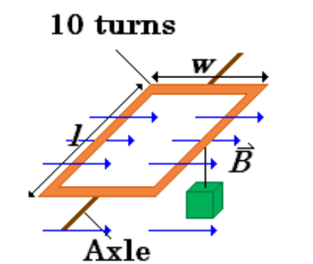 Solved The 10 turn loop of wire shown below with l=14.5cm, | Chegg.com