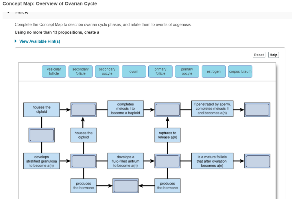 Solved Concept Map: Overview of Ovarian Cycle raIL H | Chegg.com