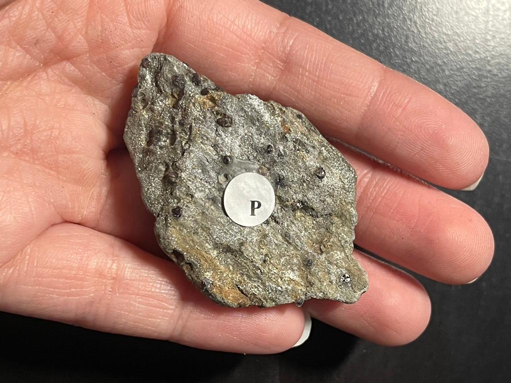 Solved EXERCISE 1: METAMORPHIC ROCK IDENTIFICATION In this | Chegg.com