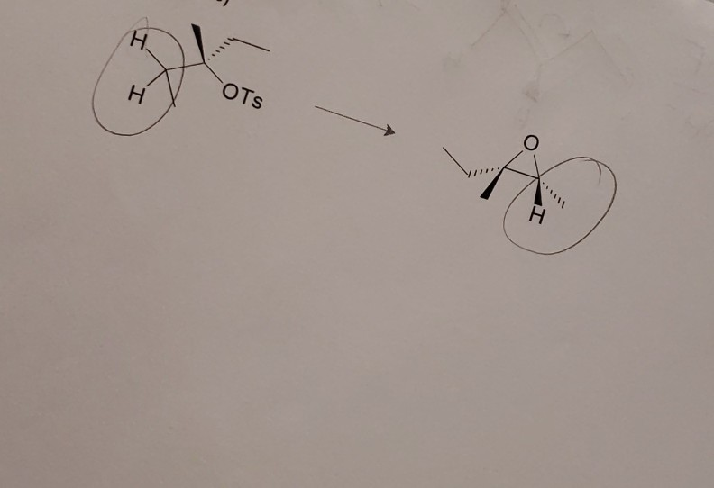 Solved 5% OTs Determine how each of the following | Chegg.com