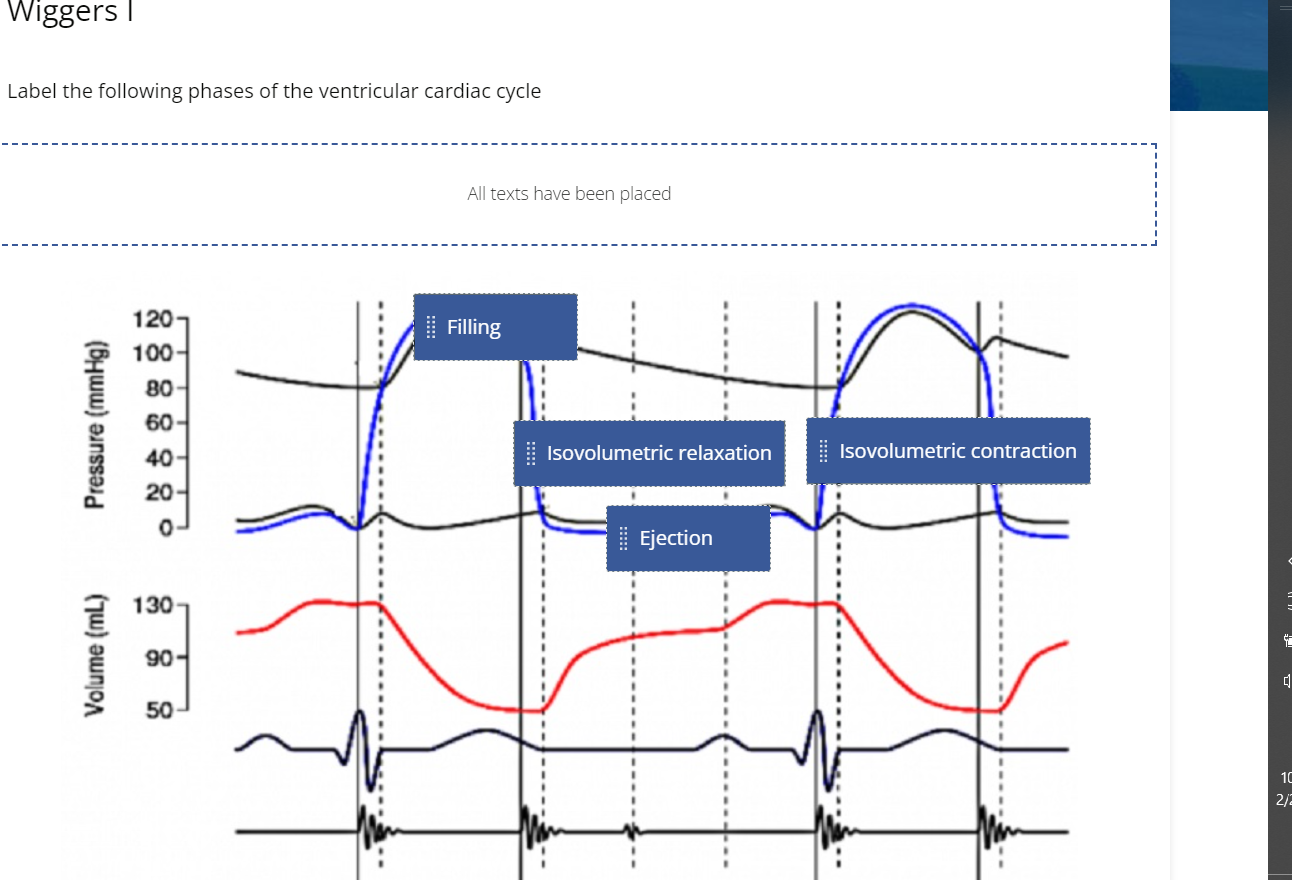 Solved Wiggers Label the following phases of the ventricular | Chegg.com