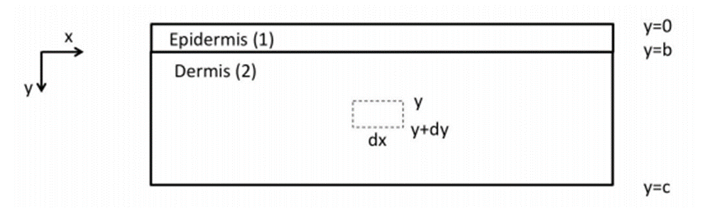 Drug diffusion through skin: in this problem, we will | Chegg.com