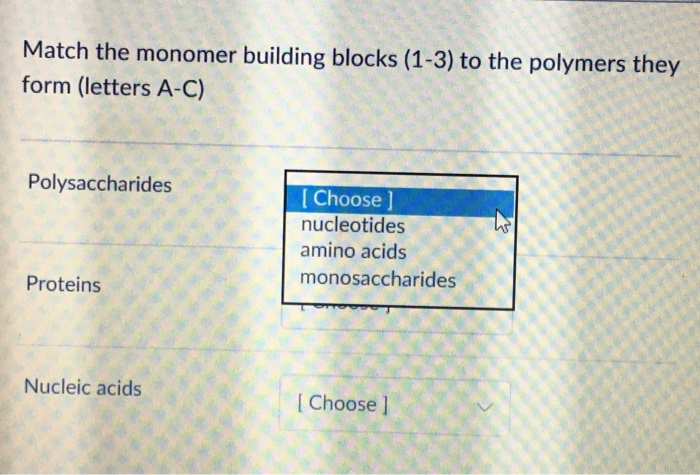 Solved Match the monomer building blocks (1-3) to the | Chegg.com