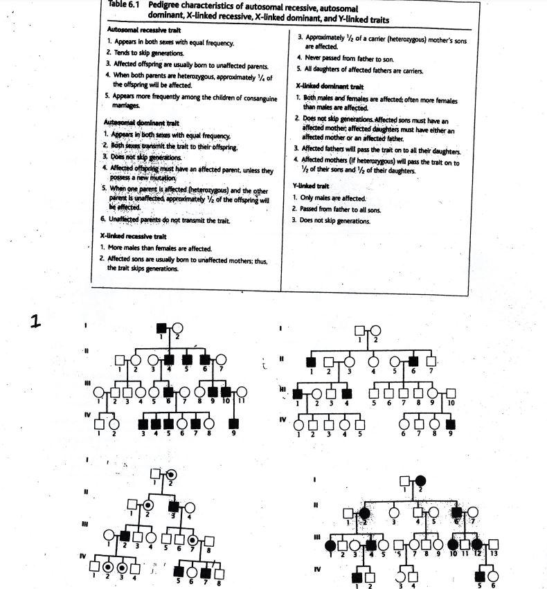 Table 6.1 Pedigree characteristics of autosomal | Chegg.com