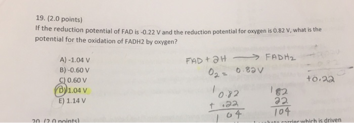 Solved If the reduction potential of FAD is -0.22 V and the | Chegg.com