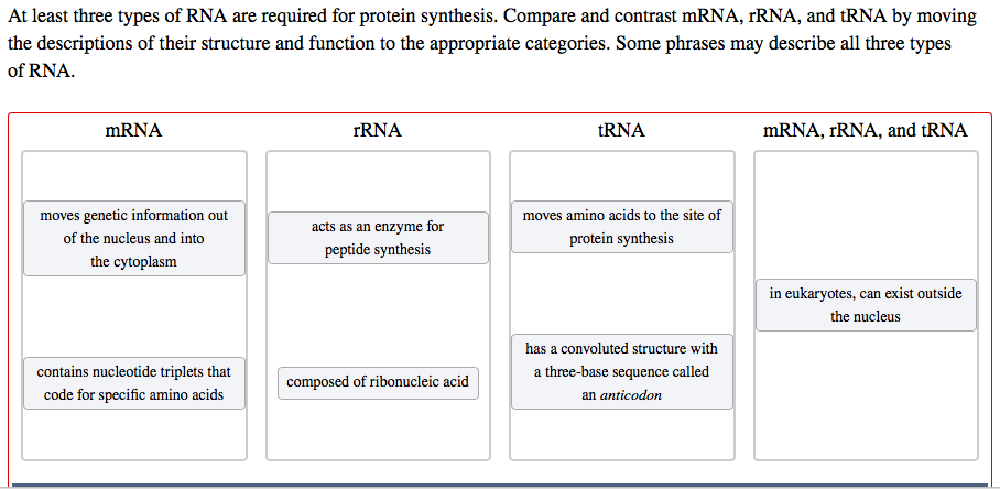 Solved At Least Three Types Of RNA Are Required For Protein Chegg
