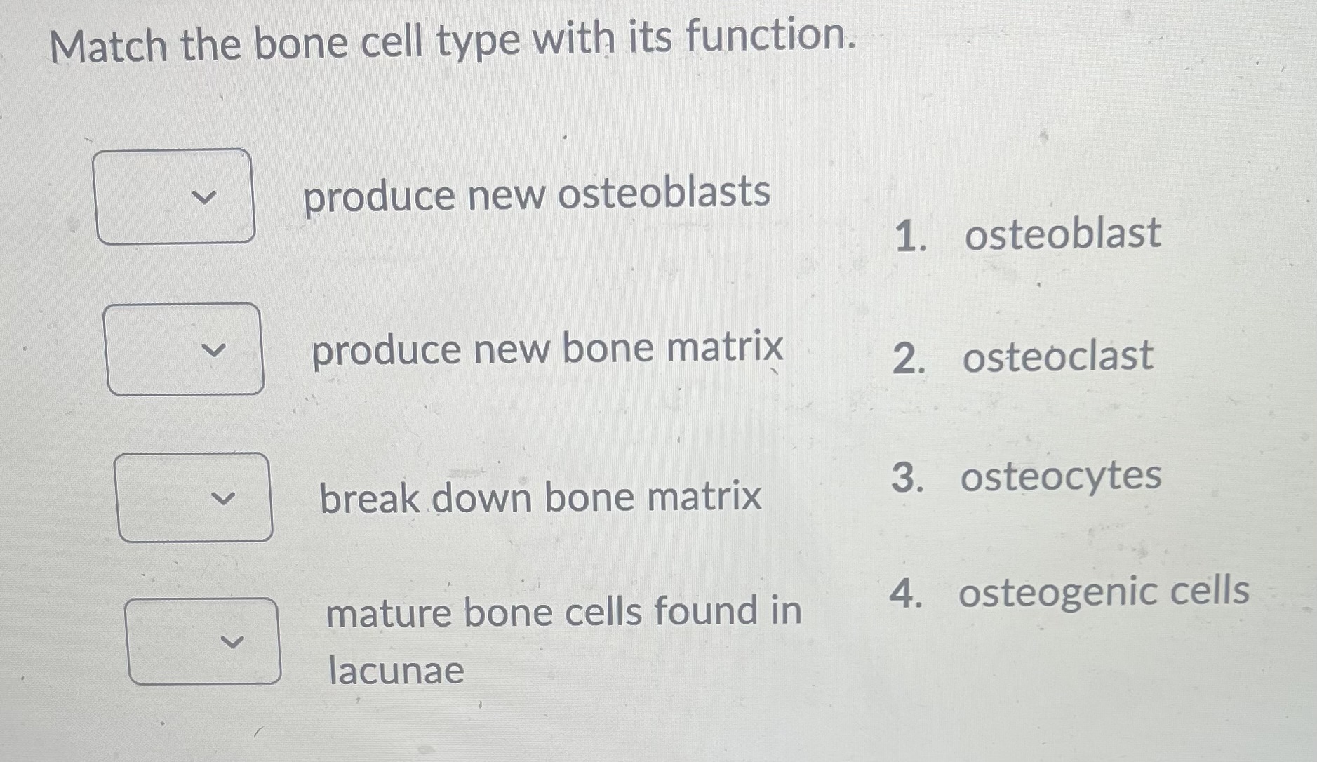 Match the bone cell type with its function.produce | Chegg.com