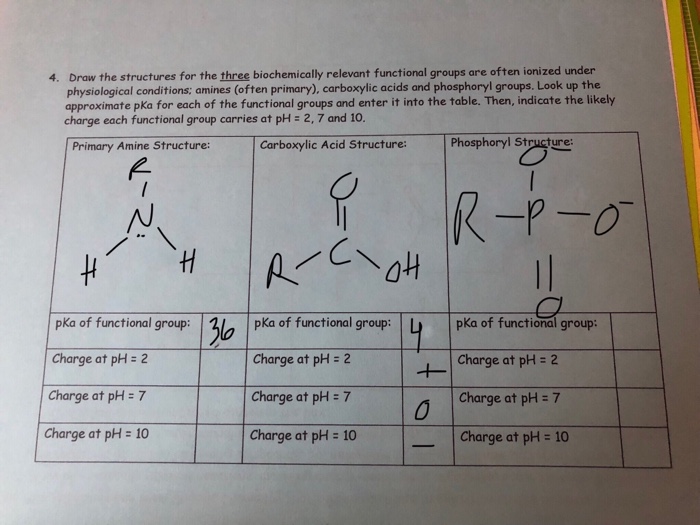 Solved Draw the structures for the three biochemically | Chegg.com