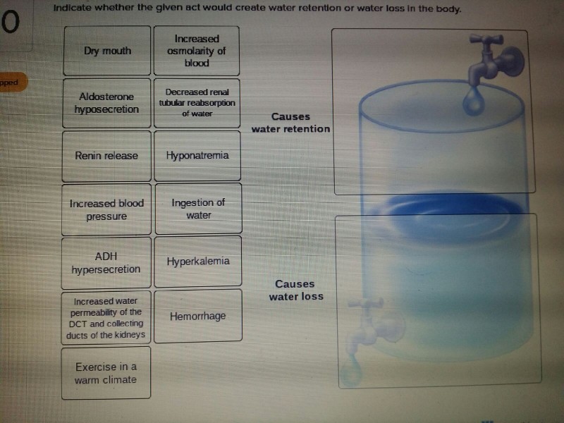 Solved Indicate whether the glven act would create water | Chegg.com