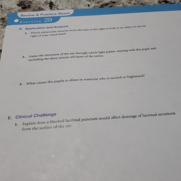 Solved Review & Practice Sheet Exercise 29 D. Application | Chegg.com