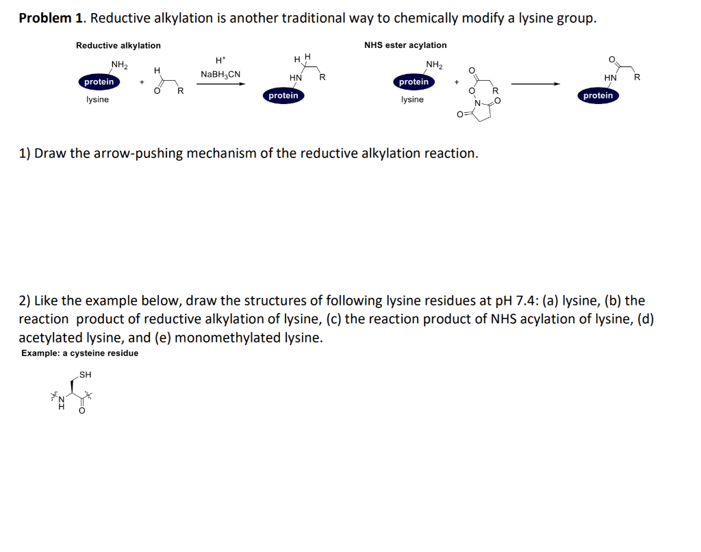 Solved Problem 1. Reductive alkylation is another | Chegg.com
