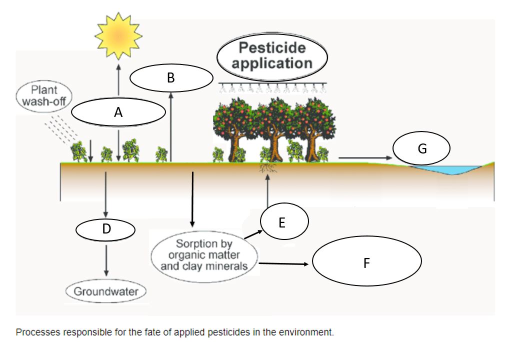 Solved The "environment fate" of a pesticide can be | Chegg.com
