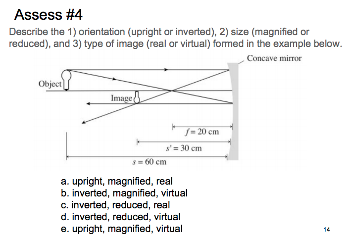 Solved Assess #4 Describe the 1) orientation (upright or | Chegg.com
