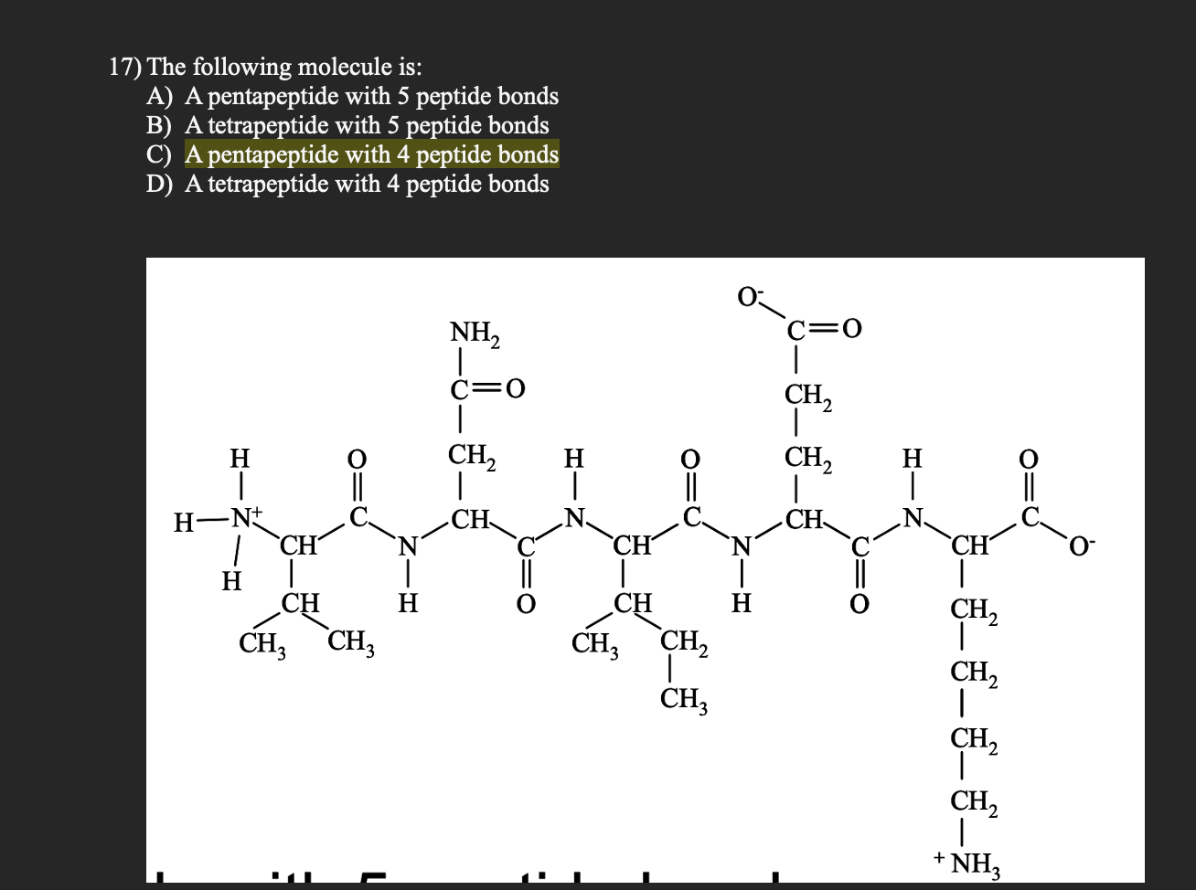 Solved 17) The following molecule is: A) A pentapeptide with | Chegg.com