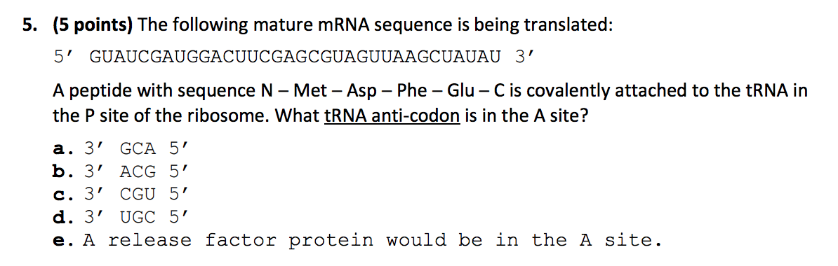 Solved 5. (5 points) The following mature mRNA sequence is | Chegg.com