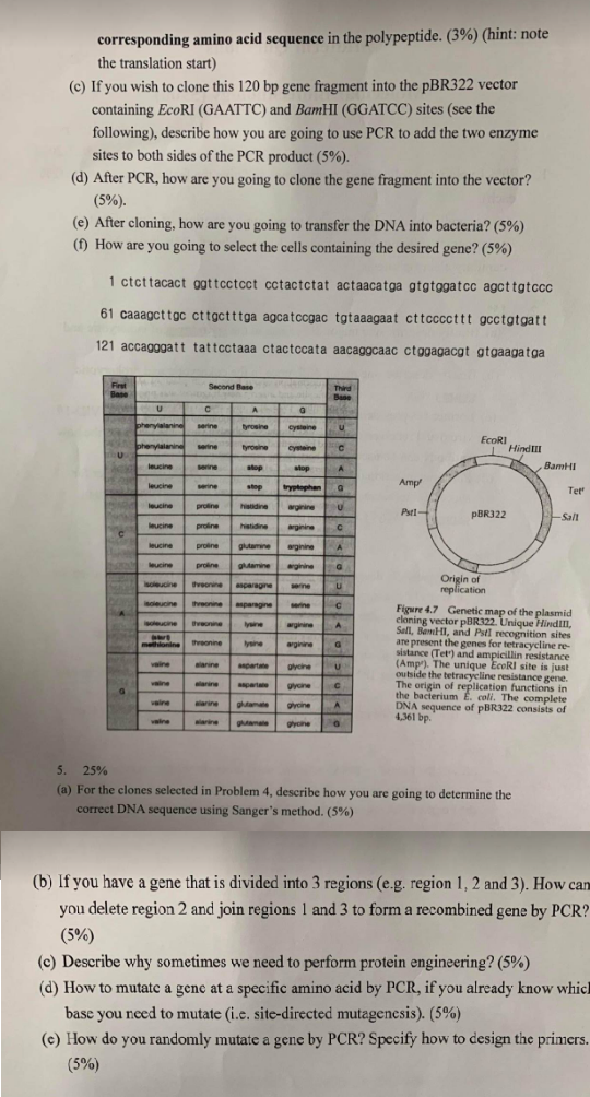 Solved corresponding amino acid sequence in the polypeptide. | Chegg.com