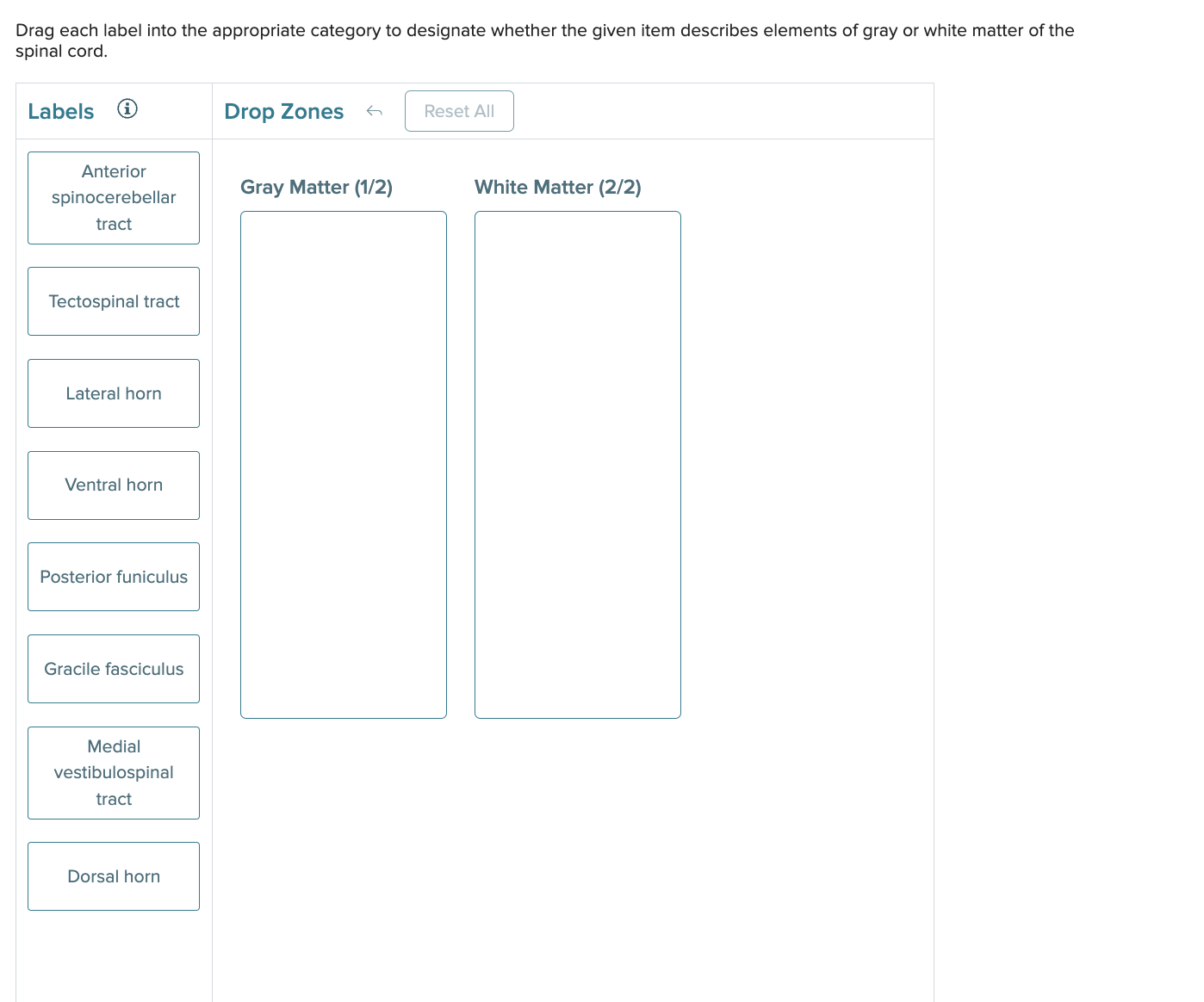 Solved Drag each label into the appropriate category to | Chegg.com