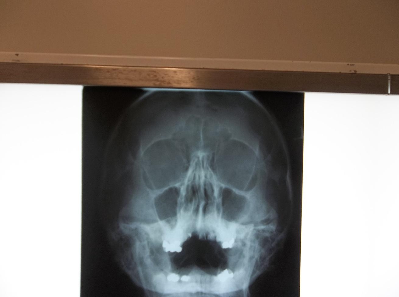 STATION 4: Positive Identification - Using the | Chegg.com