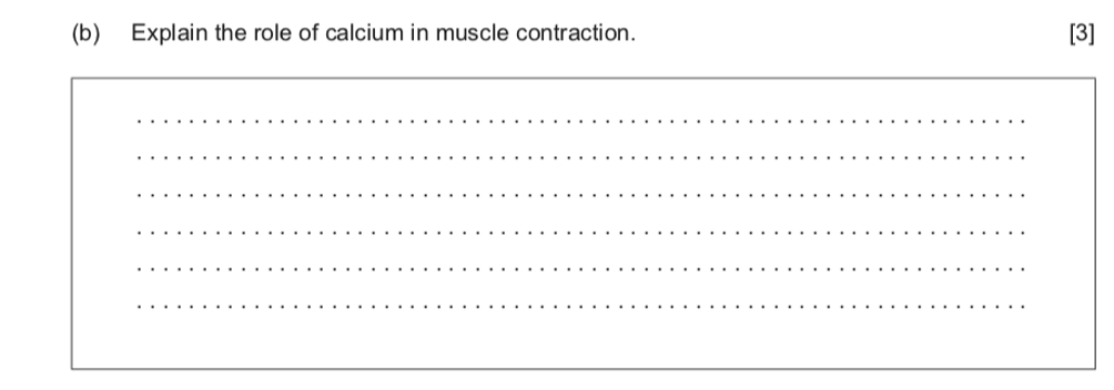 Solved (b) Explain the role of calcium in muscle | Chegg.com