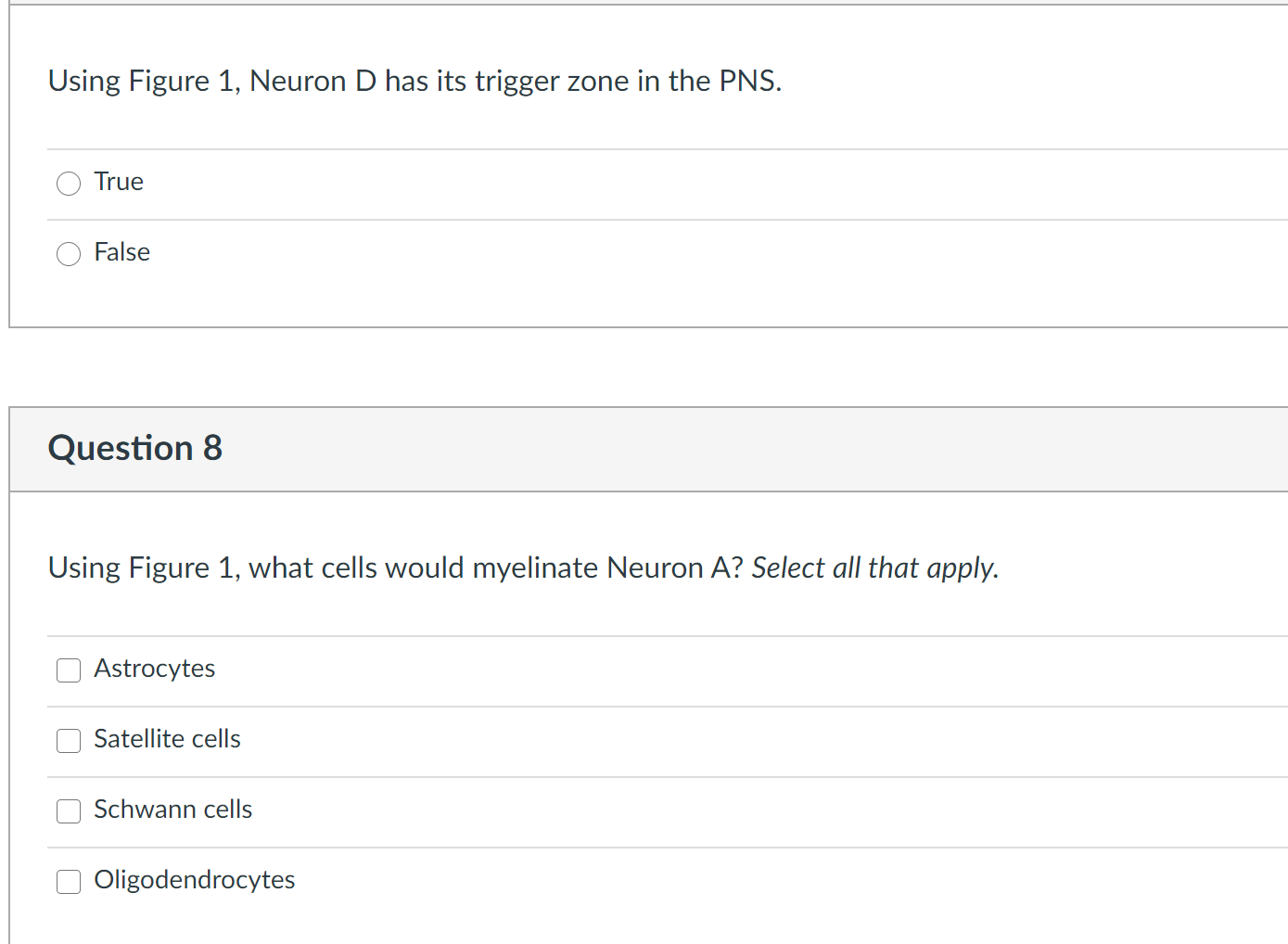 Solved Location Q Neuron A Small Intestine Neuron B Neuron C | Chegg.com