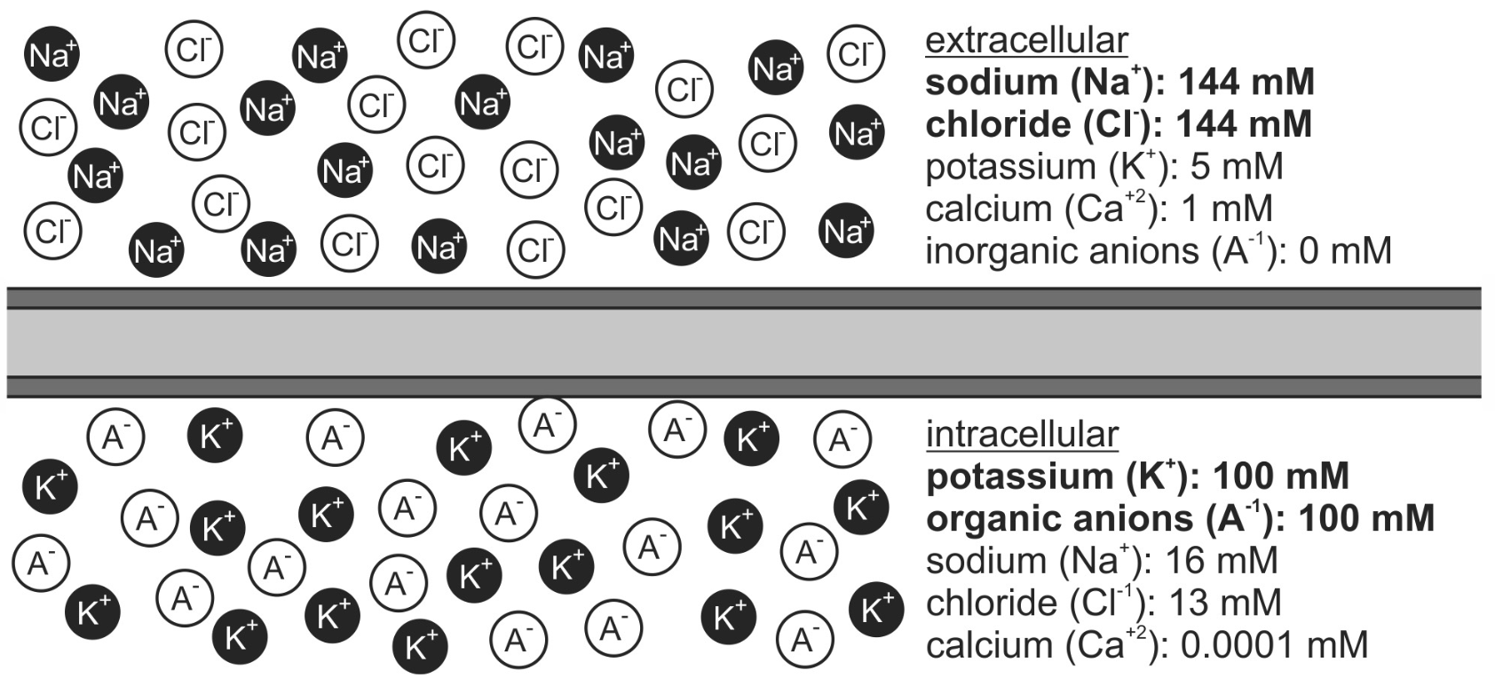 Solved 1)Calculate the membrane potential at the instant | Chegg.com