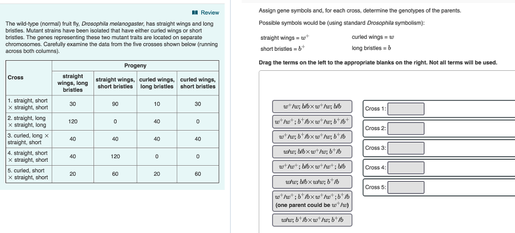 Solved Assign gene symbols and, for each cross, determine | Chegg.com