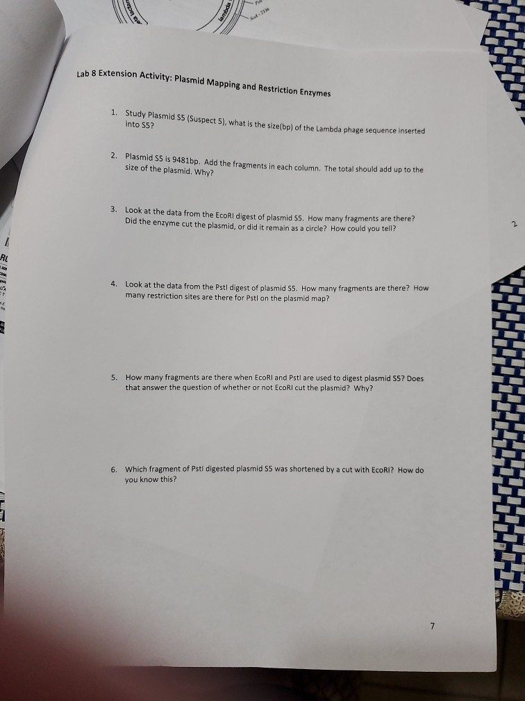 Solved Lab 8 Extension Activity: Plasmid Mapping and | Chegg.com