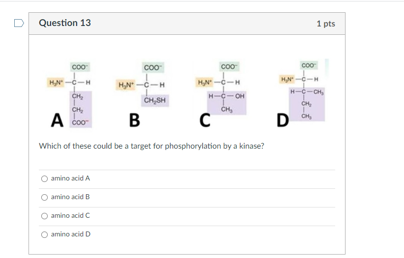 Solved Question 13 1 pts COO COO COO COO HN -H CH2 CH2 Coo | Chegg.com