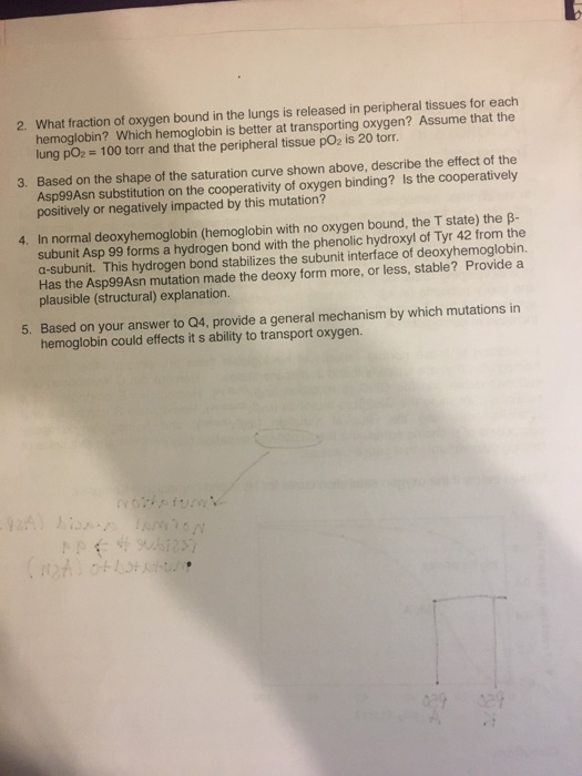 Solved Case Study Mutations In Hemoglobin and Their Effect | Chegg.com