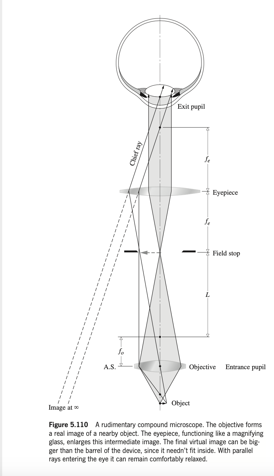 Solved O Exit pupil Chief ray fe Eyepiece fe Field stop L fo | Chegg.com