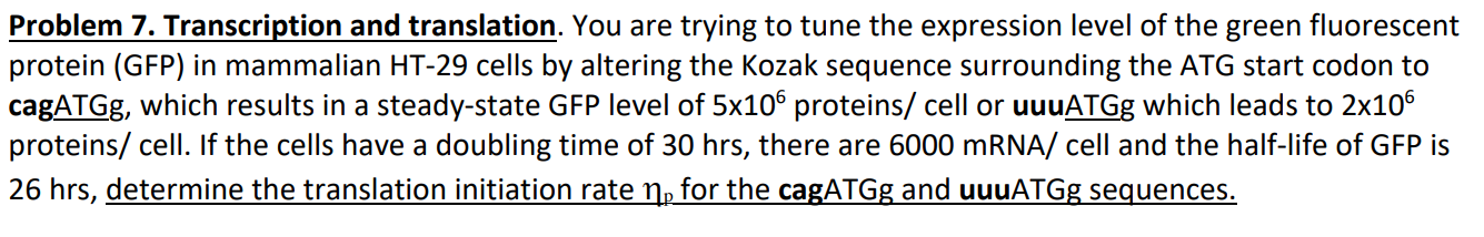 Problem 7. Transcription and translation. You are | Chegg.com