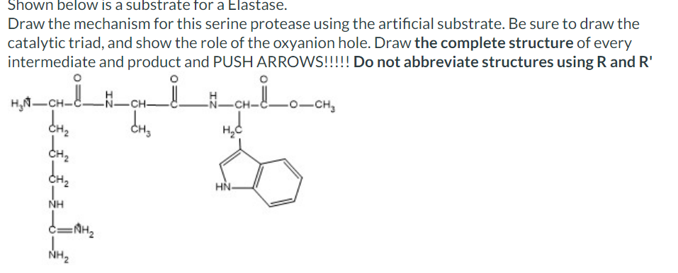 Solved Shown below is a substrate for a Elastase. Draw the | Chegg.com
