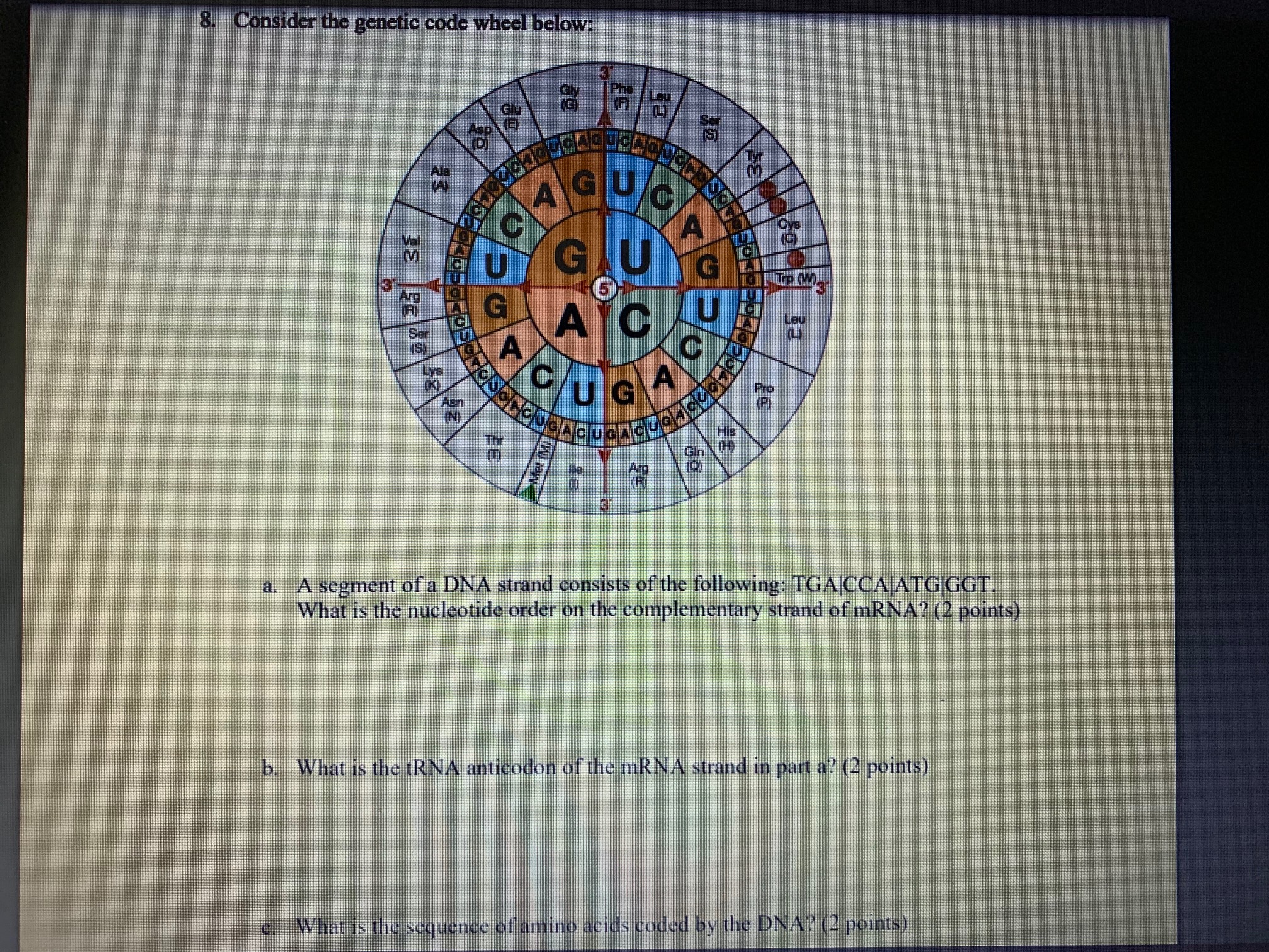 Solved 8. Consider the genetic code wheel below: Png | Chegg.com
