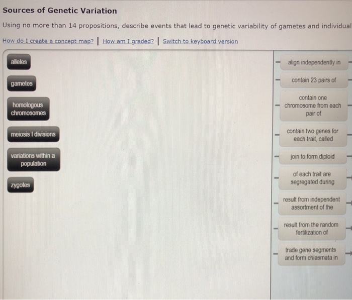 Solved Make a concept map using the statements on the left | Chegg.com