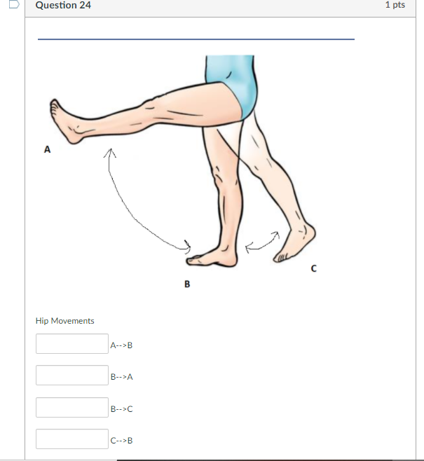 Solved Complete the following Lab Activity on Movement | Chegg.com