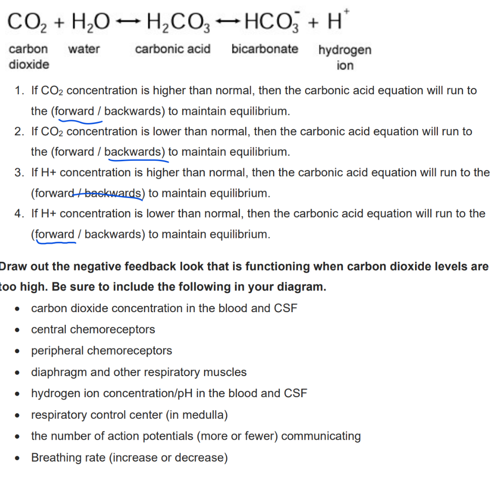 Solved CO2+H2O H2CO3 HCO3−+H+ carbon water carbonic acid | Chegg.com