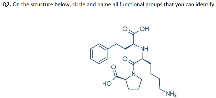 Solved On the structure below, circle and name all | Chegg.com
