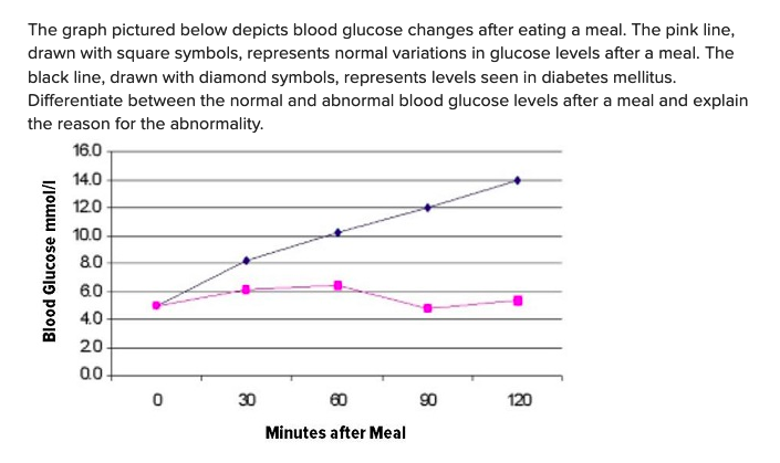 Solved The graph pictured below depicts blood glucose | Chegg.com