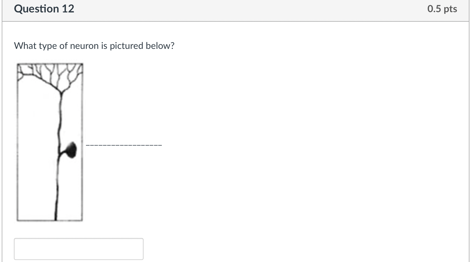 Solved What type of neuron is pictured below? | Chegg.com
