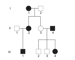 Solved This pedigree can describe either an autosomal | Chegg.com